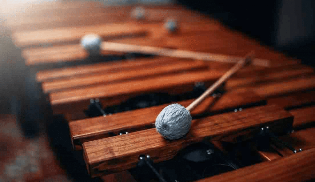 Comparatif Xylophone 2026 : Les 15 Meilleurs Modèles Testés